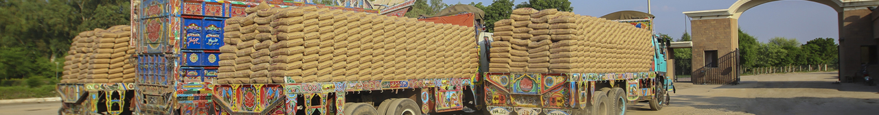 Contact Us | Pioneer Cement